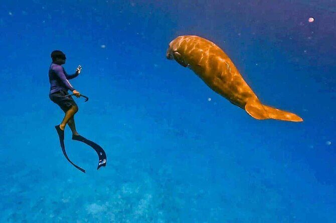 Coron Group Dugong and Turtle Watching with Lunch - Final Thoughts: Is This Tour Worth It?