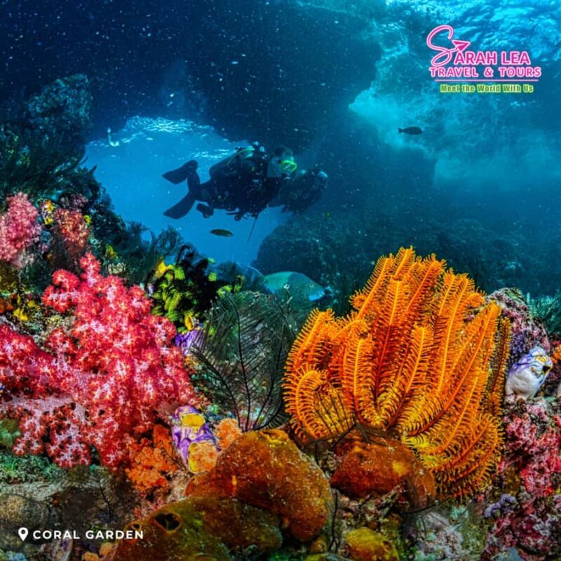 Coron: Island Hopping Tour A with Scenic Stops - Price and Value