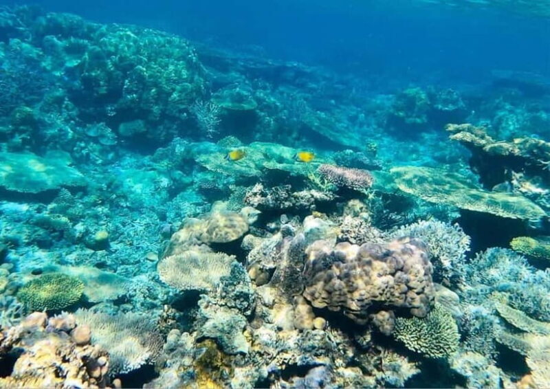 Coron: Island Tour B - Key Points