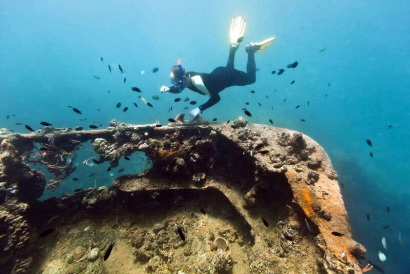Coron Private Tour D: Reef and Wrecks - Exploring Coron Private Tour D: Reef and Wrecks
