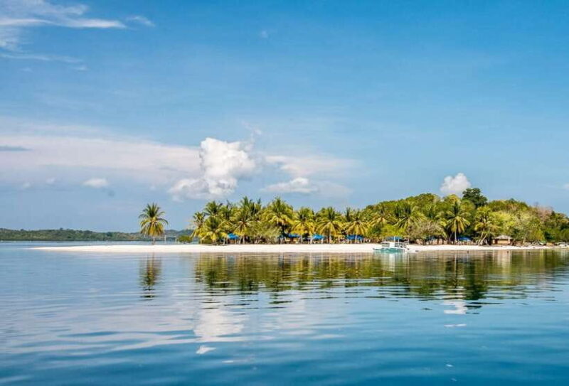 Coron Private Tour D: Reef and Wrecks - What to Expect from Coron Private Tour D: Reef and Wrecks