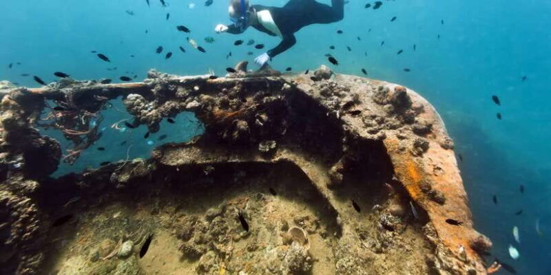 Coron Private Tour D: Reef and Wrecks - The Sum Up