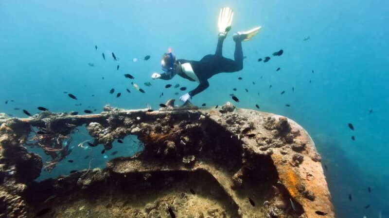 Coron Reef and Wrecks Tour (Private Tour) - An Overview of the Coron Reef and Wrecks Tour