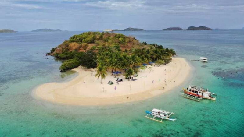 Coron Reef and Wrecks Tour (Private Tour) - Analyzing the Price and Overall Value