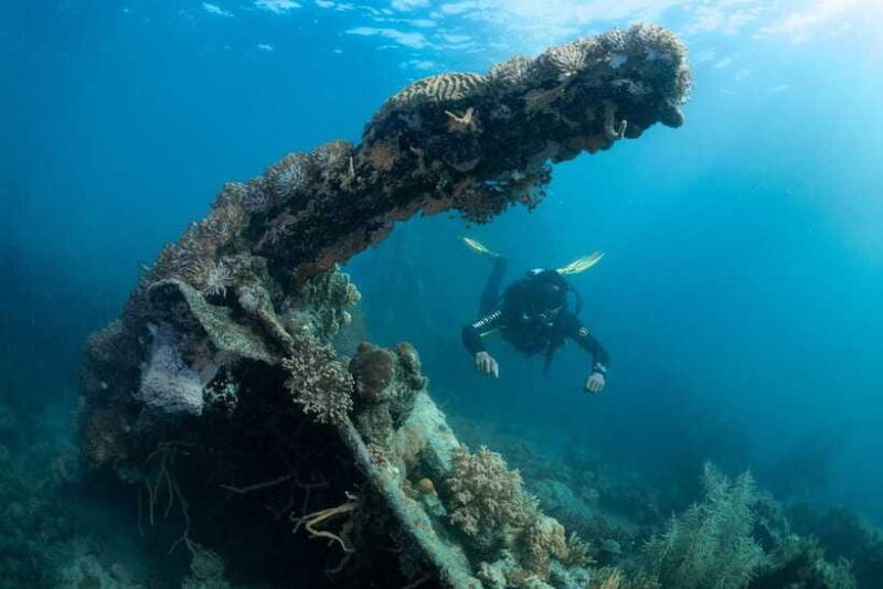 Coron Reef and Wrecks Tour (Private Tour) - Final Thoughts