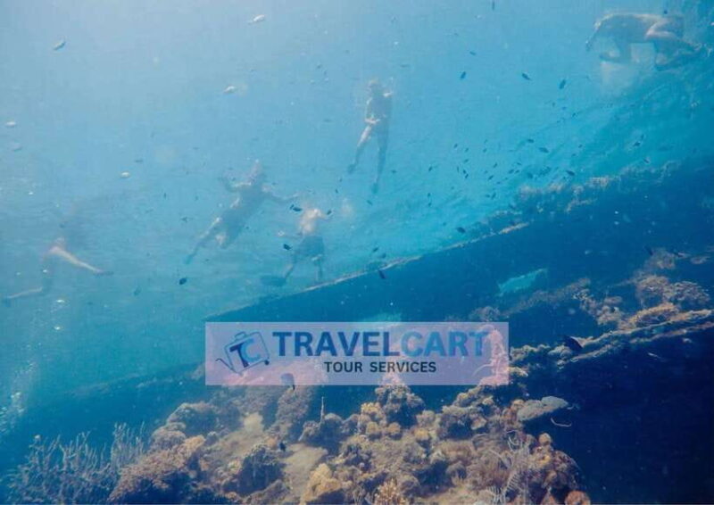 Coron Reef & Wrecks Tour - An In-Depth Look at the Coron Reef & Wrecks Tour