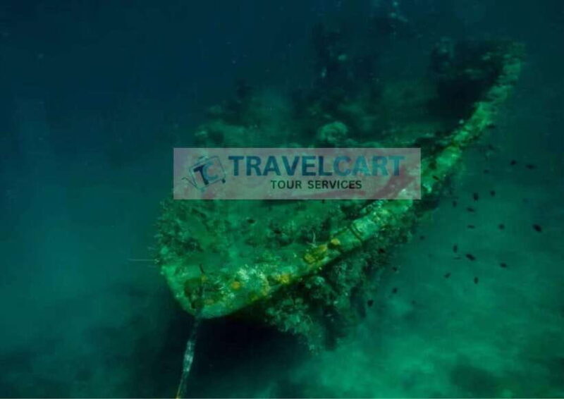 Coron Reef & Wrecks Tour - Who Should Take This Tour