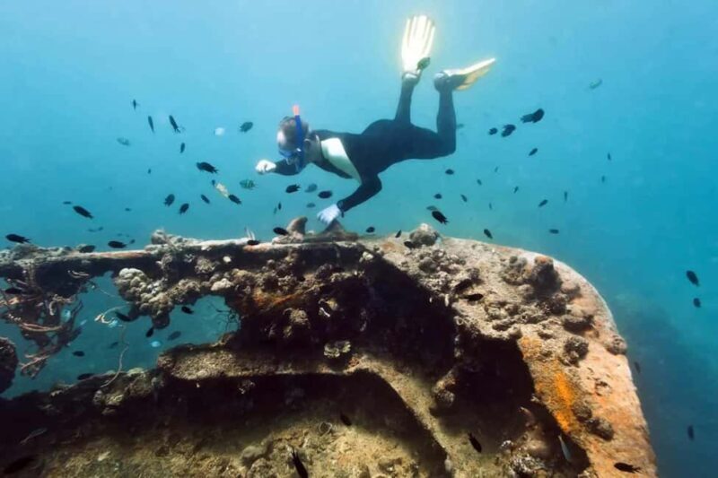 Coron: Reefs and Wrecks Tour with Snorkeling Equipment - Key Points