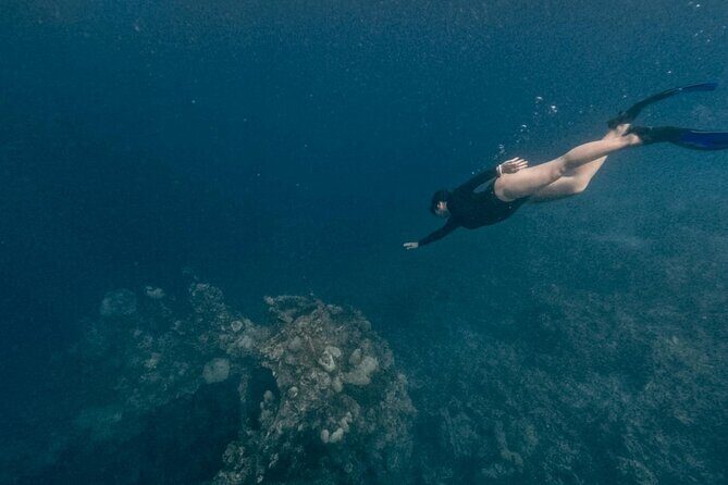 Coron Shipwrecks and Lusong Coral Garden tour (Private / Shared) - The Practicalities