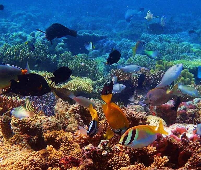 Coron: Siete Pecados & Pukaway Cave Private Tour - Key Points