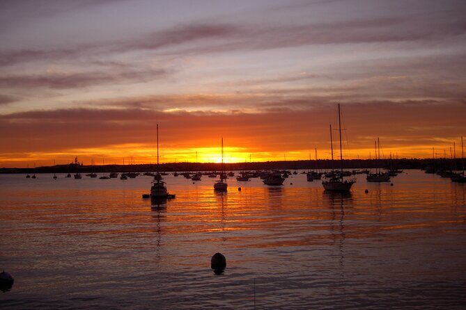 Coronado Bike Tour - Key Points