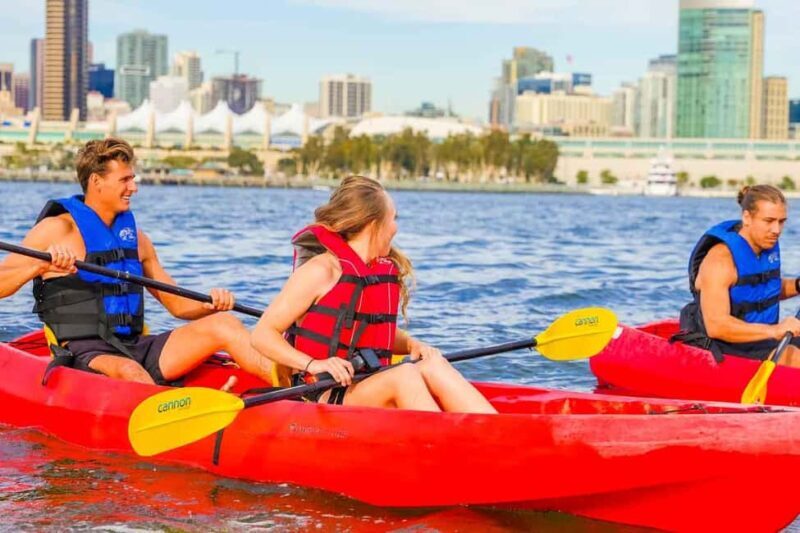 Coronado Guided Kayak Tour 90-Min - Why Choose a Kayak Tour in Coronado?