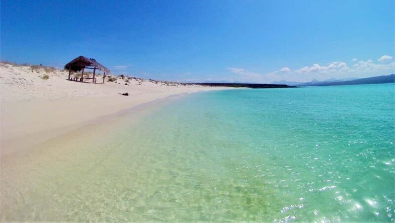 Coronado Island and Snorkel Tour - Exploring the Experience: What to Expect From Start to Finish