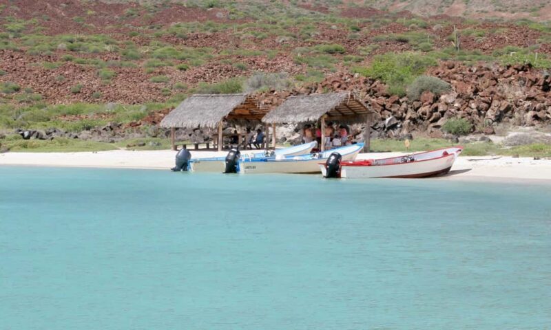 Coronado Island and Snorkel Tour - Analyzing the Value and Practicalities