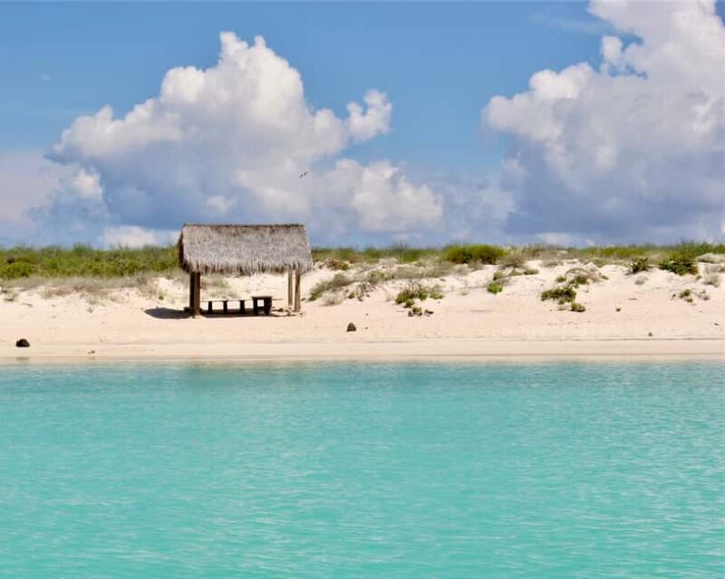 Coronado Island and Snorkel Tour - Who Will Love This Tour?