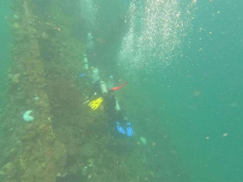 CORON:REEF AND WRECK - 2 JAPANESE WRECK AND PASS ISLAND TOUR - Authenticity and Worthwhile Experiences