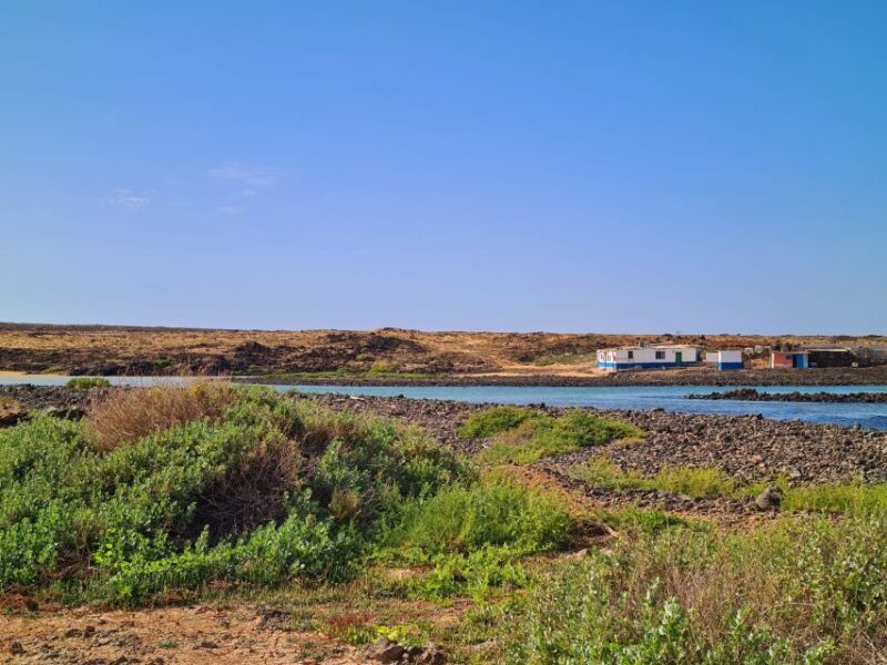 Corralejo: E-Bike Rental with Map to Popcorn Beach - Authentic Experience and Input from Visitors