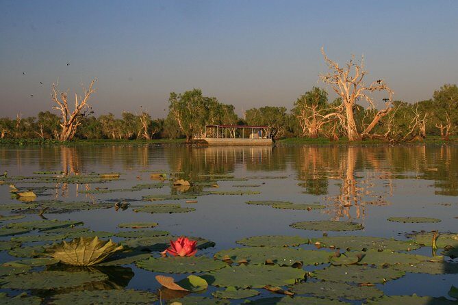 Corroboree Billabong Wetland Cruises - 2 hour Sunset Cruise - Discover the Magic of Corroboree Billabong Wetland Cruises – A Sunset Experience