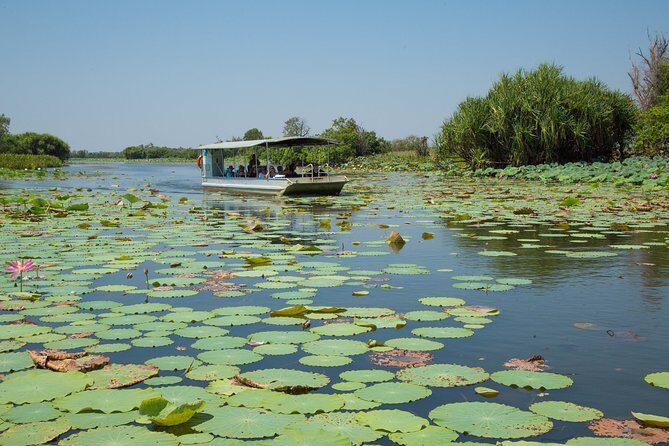 Corroboree Billabong Wetland Cruises - 2 hour Sunset Cruise - What to Expect on Your Wetland Adventure