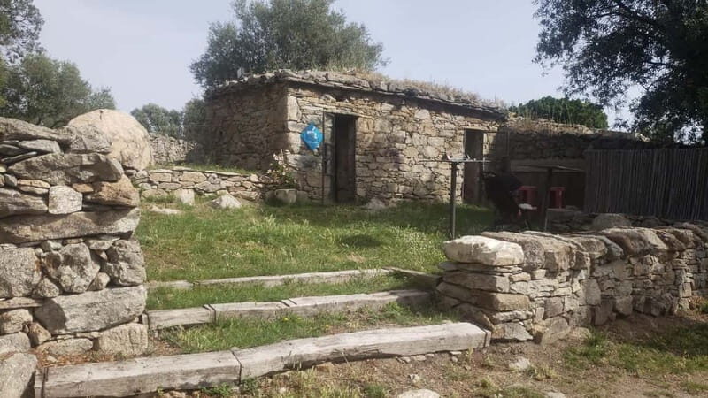 Corsica: Organic wine tasting - Key Points