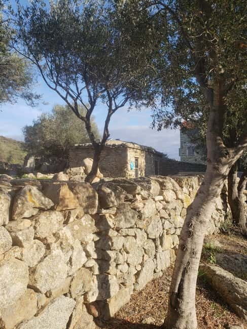 Corsica: Organic wine tasting - The Experience: A Closer Look