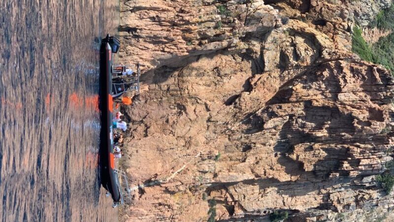 Corsica: Piana Calanques and Caves by Boat - A Closer Look at the Tour Experience