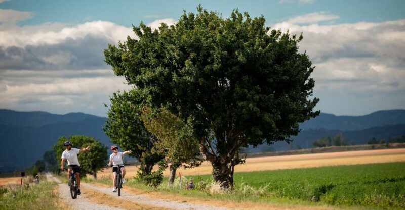 Cortona: Val di Chiana E-Bike Tour with Optional Wine Lunch - Riding Through the Heart of Tuscany