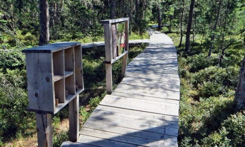 Corund, HR: Backcountry Gastro Tour with Lunch and Dinner - Introduction