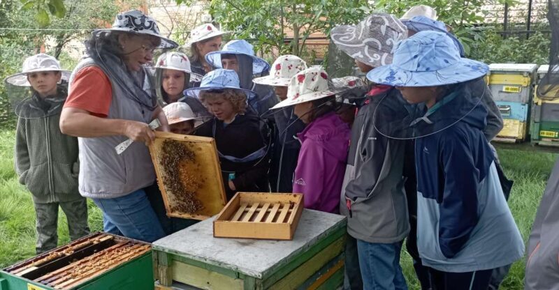 Corund, HR: Visit to bee-keeper, tasting & hive-opening - Key Points
