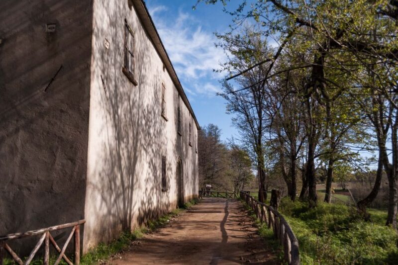 Cosenza: Giants of the Sila - FAQ