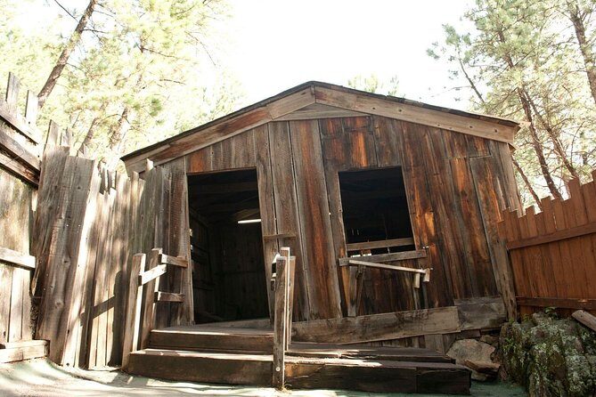 Cosmos Mystery Area Admission - Authentic Experiences from Visitors