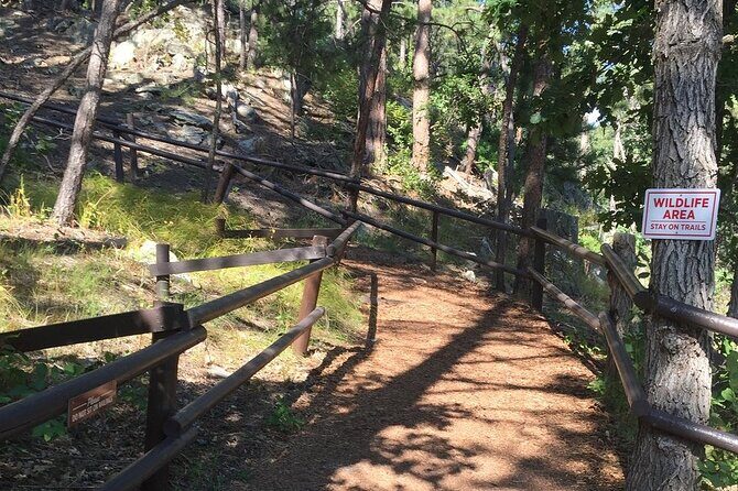 Cosmos Mystery Area Admission - The Sum Up: Who Should Visit the Cosmos Mystery Area?