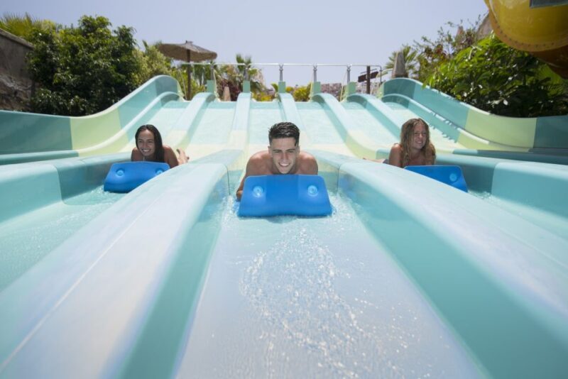 Costa Adeje: Aqualand Water Park Ticket with Dolphin Show - Authentic Visitor Insights