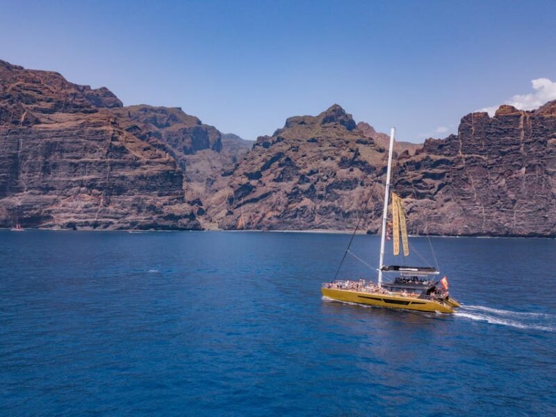 Costa Adeje: Masca and Los Gigantes Whale Watching Cruise - Authentic Insights from Travelers
