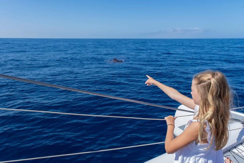 Costa Adeje: Masca and Los Gigantes Whale Watching Cruise - The Sum Up
