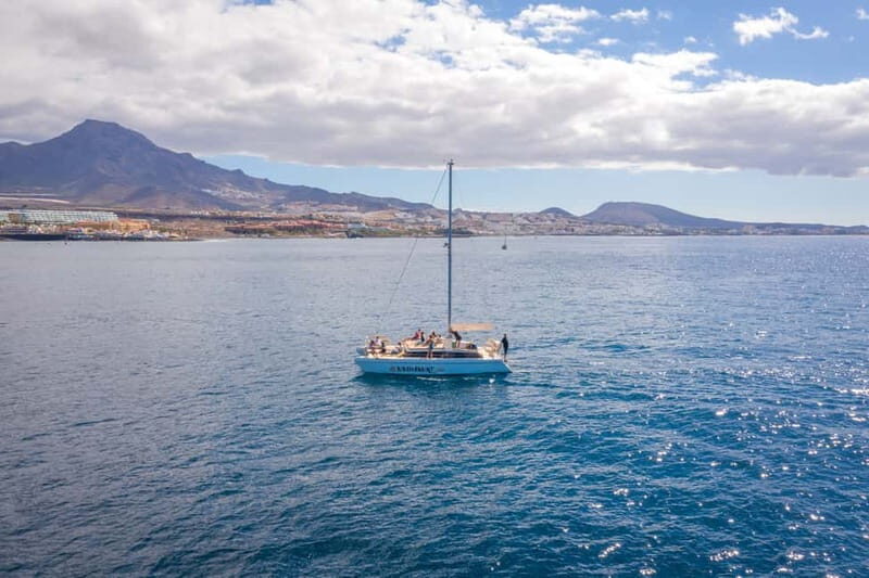 Costa Adeje: Private Catamaran Tour 22 Persons Max - FAQ