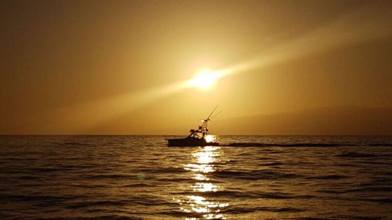 Costa Adeje: Private Yacht Sailing Tour from Puerto Colón - Final Thoughts: Who Is It Perfect For?