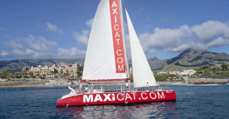 Costa Adeje: Whale and Dolphin Cruise with Food and Pickup - Setting the Scene: Departure & Logistics