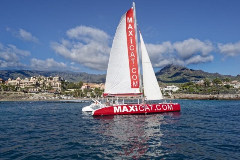 Costa Adeje: Whale and Dolphin Cruise with Food and Pickup - The Food & Drinks