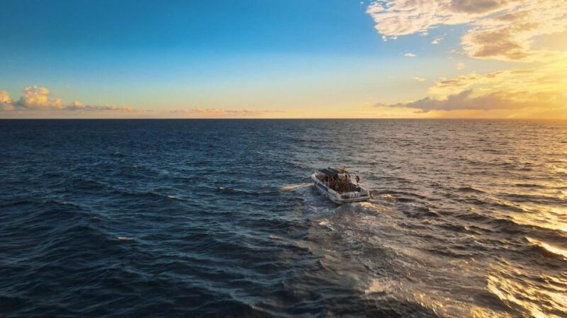 Costa Adeje: Whale and Dolphin-Watching Boat Excursion - Detailed Itinerary and What You Can Expect