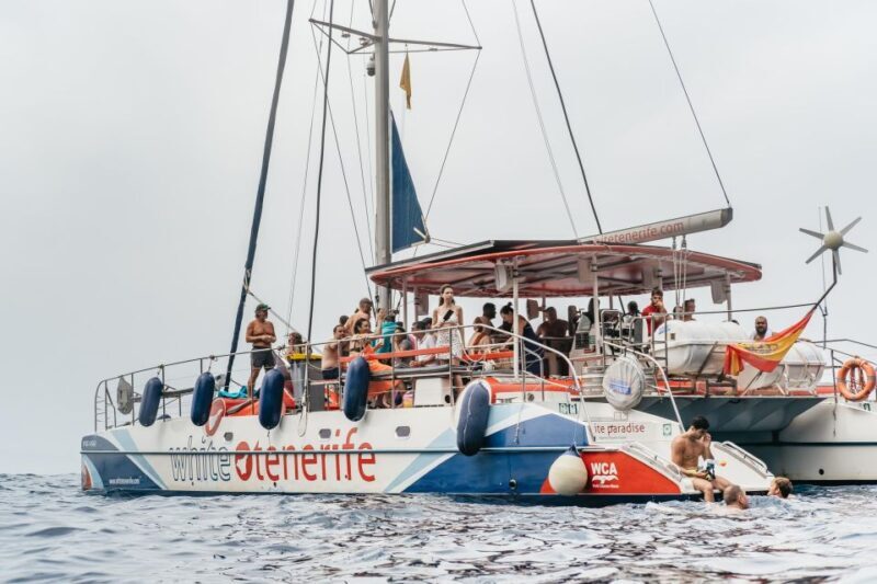 Costa Adeje: Whale & Dolphin Eco-Cruise with Snacks & Drinks - Wildlife Watching: Seeing Whales & Dolphins in Their Natural Habitat