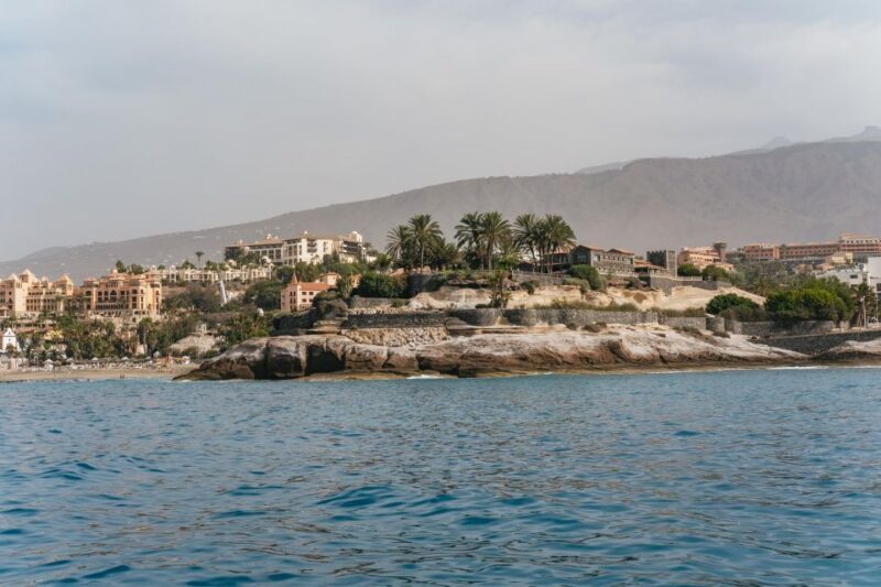 Costa Adeje: Whale & Dolphin Eco-Cruise with Snacks & Drinks - Swimming, Snacks, & Additional Comforts