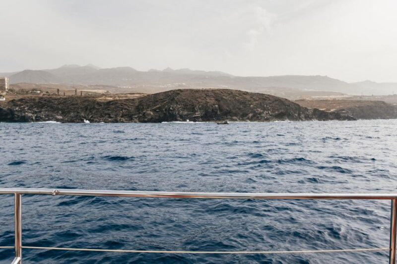 Costa Adeje: Whale & Dolphin Eco-Cruise with Snacks & Drinks - The Itinerary Breakdown: What Makes Each Stop Unique