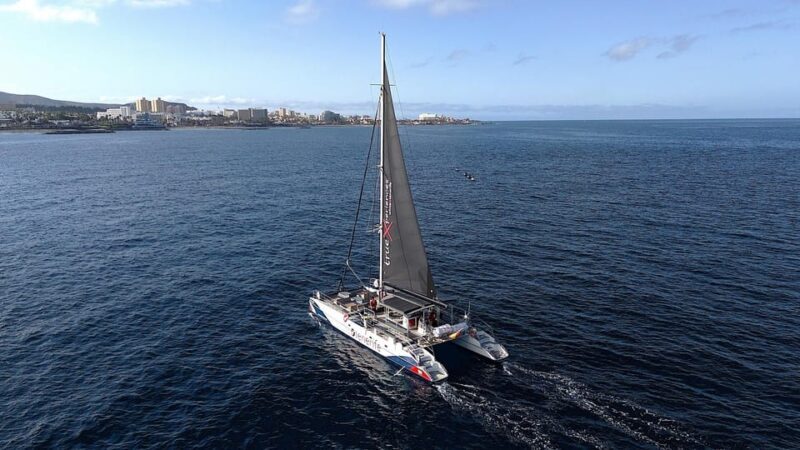 Costa Adeje: Whale & Dolphin Eco-Cruise with Snacks & Drinks - FAQs