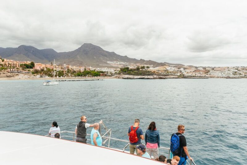 Costa Adeje: Whale & Dolphin Submarine Vision Mini Cruise - Frequently Asked Questions