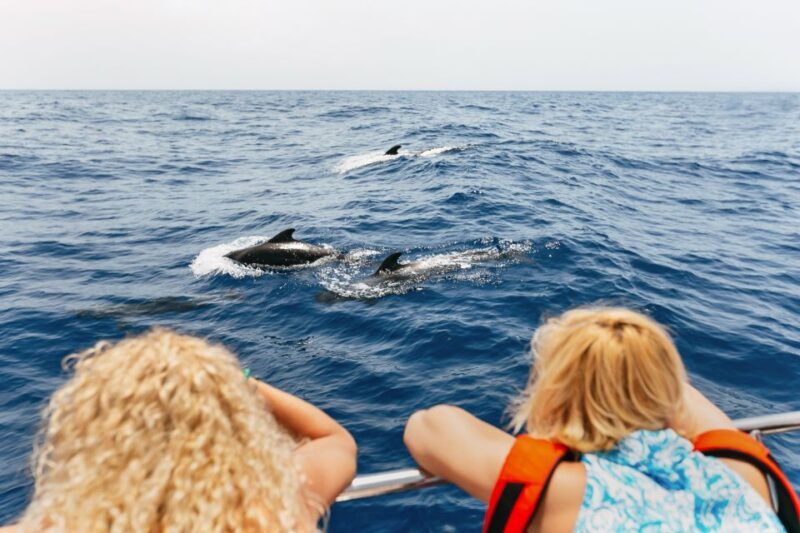 Costa Adeje: Whale Watching Catamaran Tour with Drinks - An Honest Look at the Experience