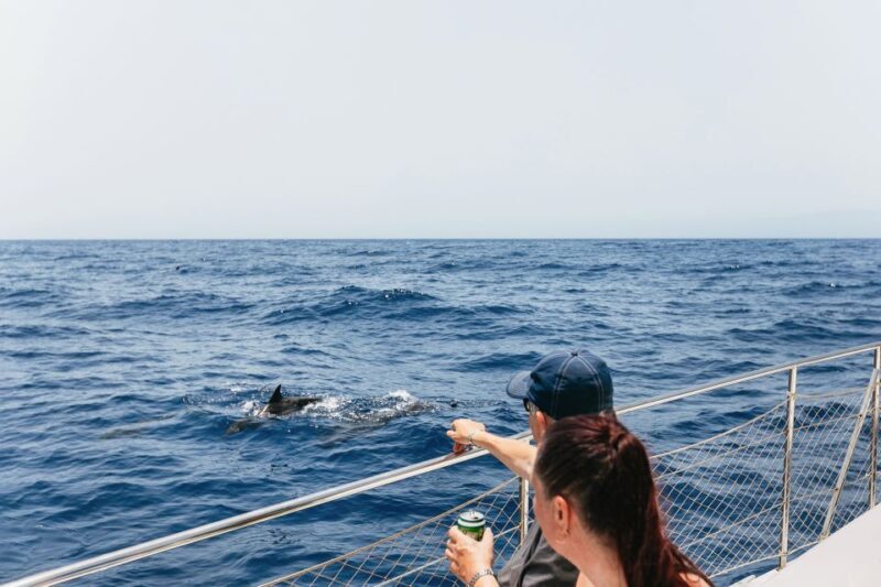 Costa Adeje: Whale Watching Catamaran Tour with Drinks - The Value Proposition