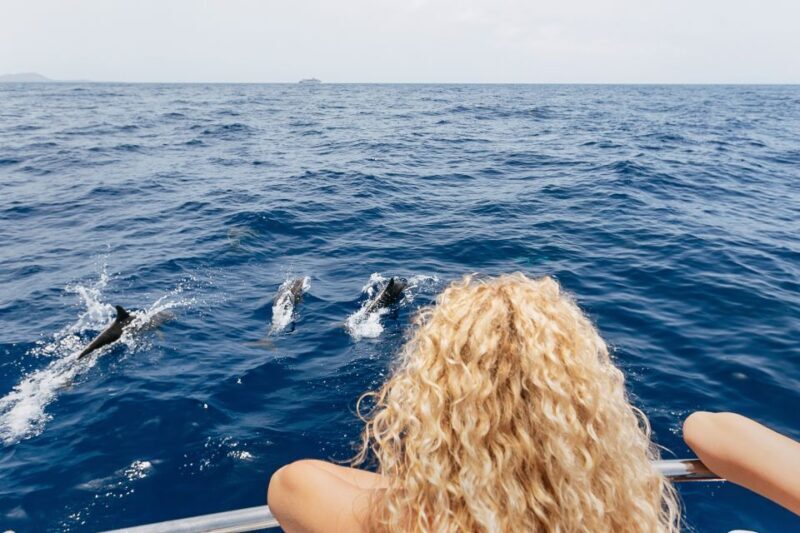 Costa Adeje: Whale Watching Catamaran Tour with Drinks - Final Thoughts