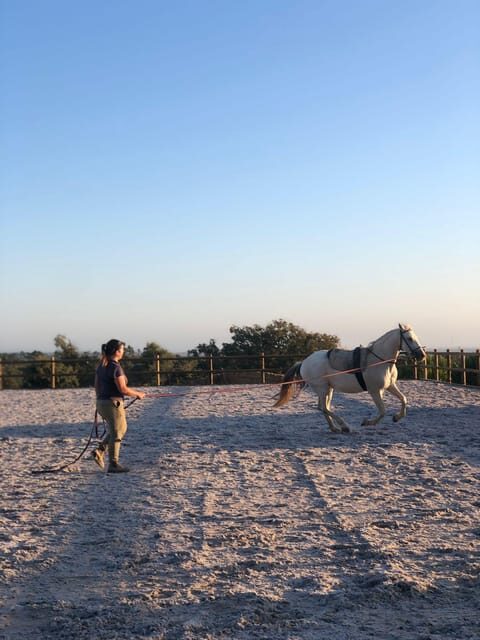 Costa Alentejana: Horse tour in Serra de Grândola - The Itinerary: What to Expect from the Horse Ride Experience