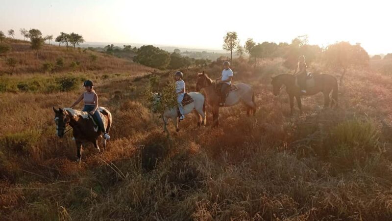 Costa Alentejana: Horse tour in Serra de Grândola - Authenticity and Reviews: What Past Participants Say